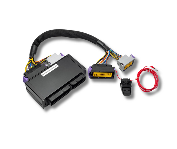 Ecumaster VW Golf Mk4 VR6 Adapter – PT Motorsport Electrics