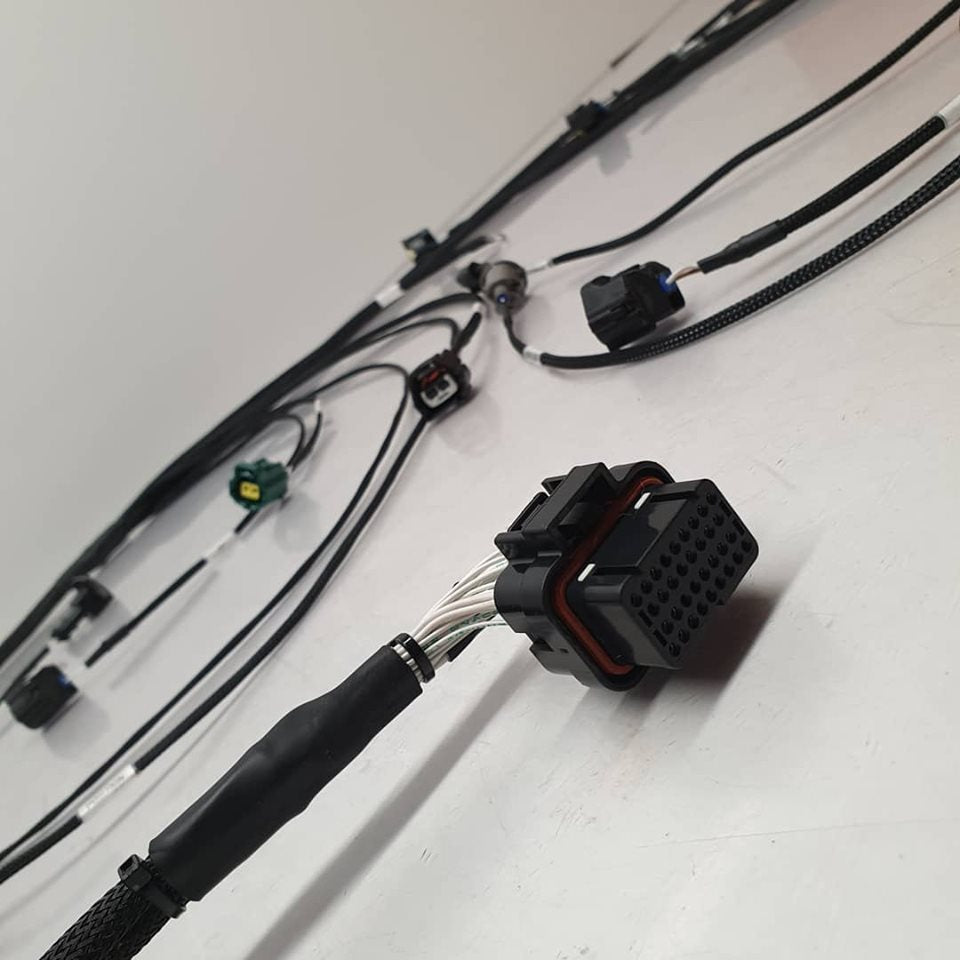4EFTE Engine Harness – PT Motorsport Electrics